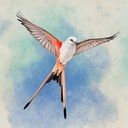 「WINGSPAN (ウイングスパン)（iOS）」のアプリ紹介と関連攻略Wiki | Gamerch