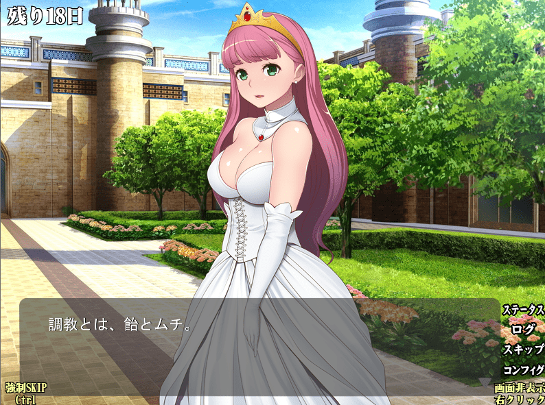 プリンセス・エスカレイション～監禁王女～ チャート Princess Escalation~Imprisoned Princess~ - biim兄貴攻略wiki | Gamerch